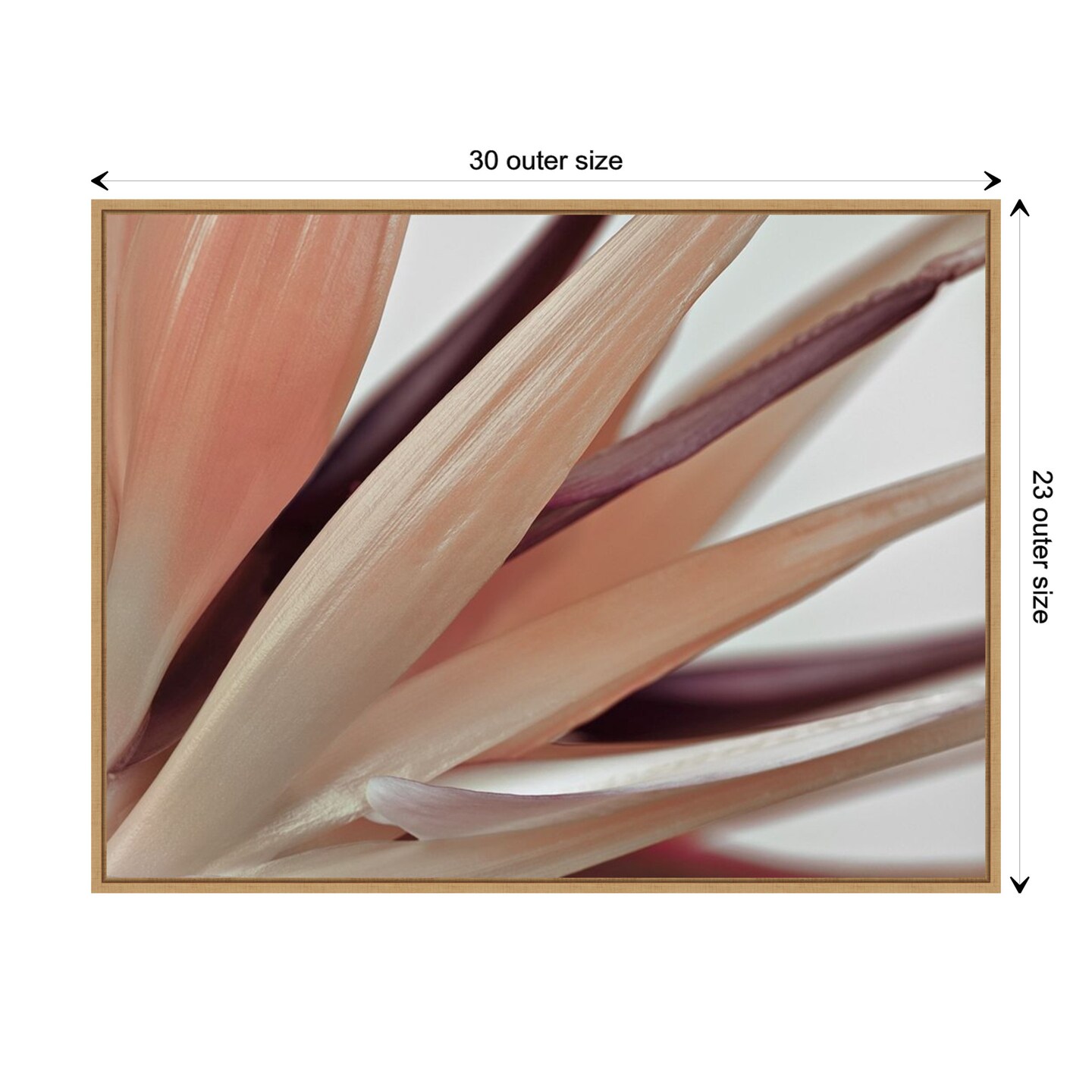 Heliconia Plant Harmony by Assaf Frank Canvas Wall Art Print Framed ...