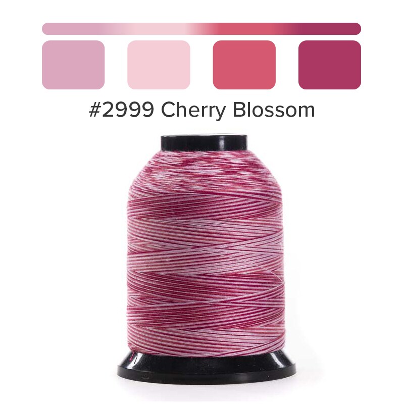 Finesse 100% Polyester Quilting Thread Variegated Colors | Michaels