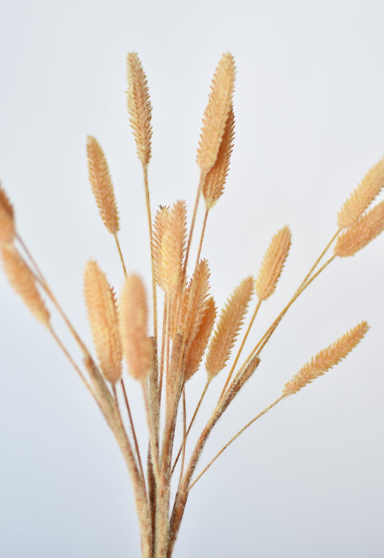 12.5" Faux Beige Reed Bundle | Floral Stems | Michaels