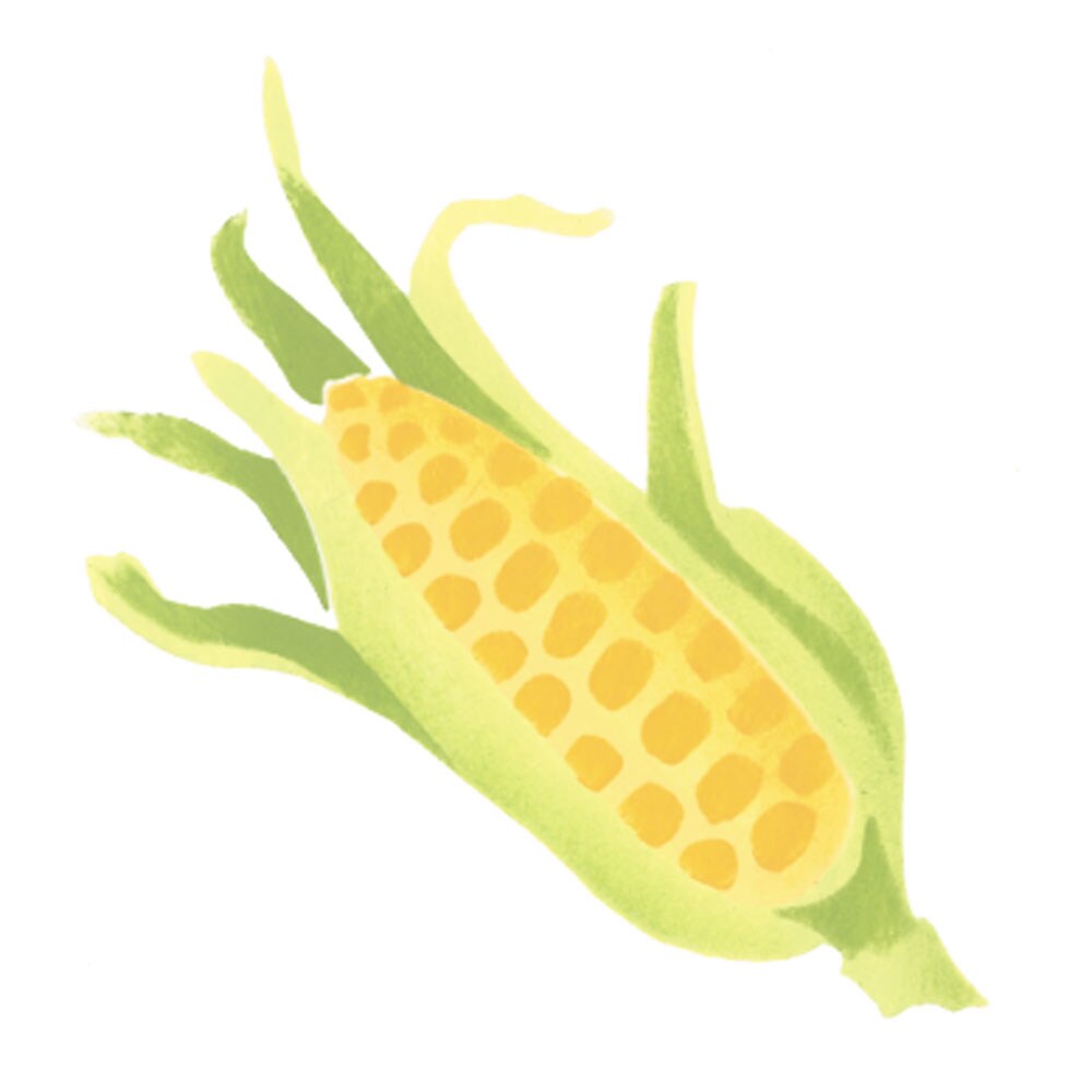Corn on the Cob Craft Stencil | 1258R by Designer Stencils | Reusable ...