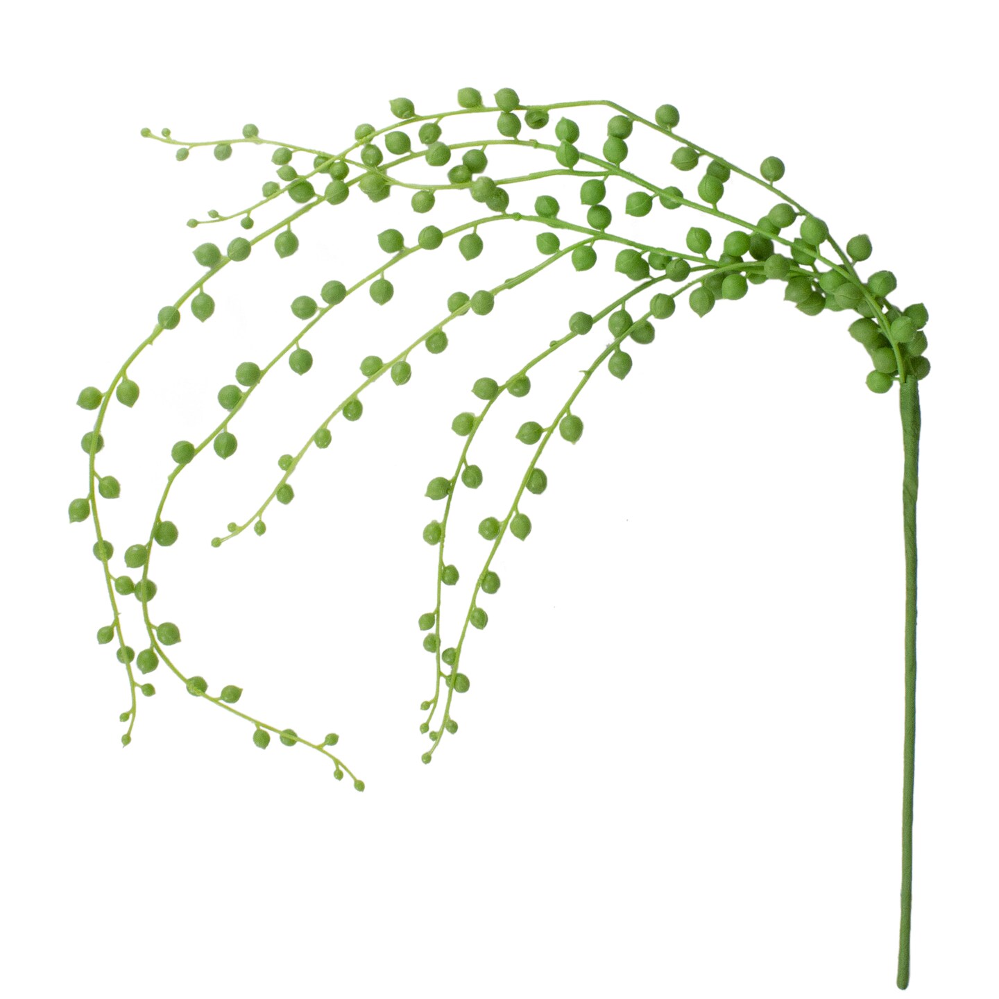 Allstate 30" Green String of Pearls Artificial Spray | Potted Plants ...