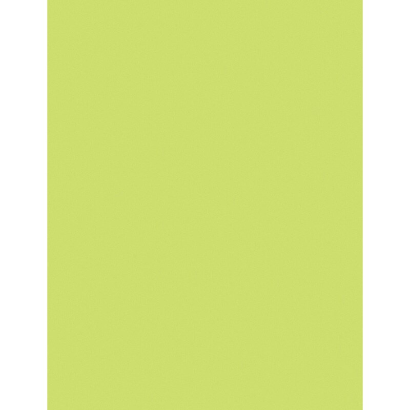 Multi Purpose Paper Lime 8 1 2 X 11 500 Sheets Paper Michaels multi-purpose-paper-lime-8-1-2-x-11-500-sheets-paper-michaels
