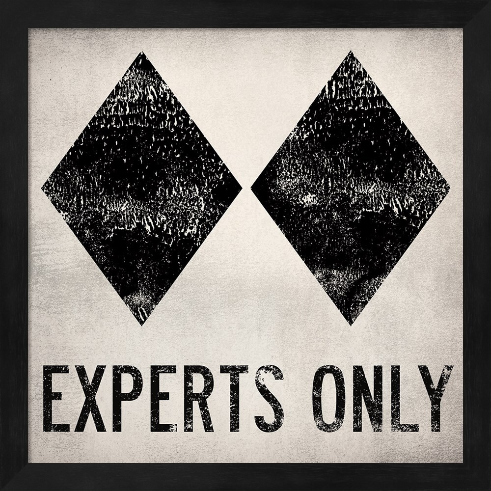 Experts Only White by Ryan Fowler, Framed Wall Art, 13.25W x 13.25H ...