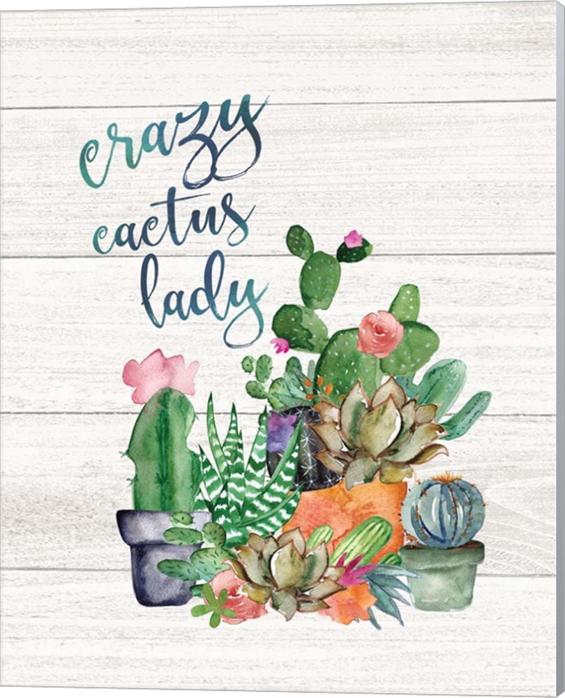 Crazy Cactus Lady by Jo Moulton, Canvas Wall Art, 16W x 20H | Michaels