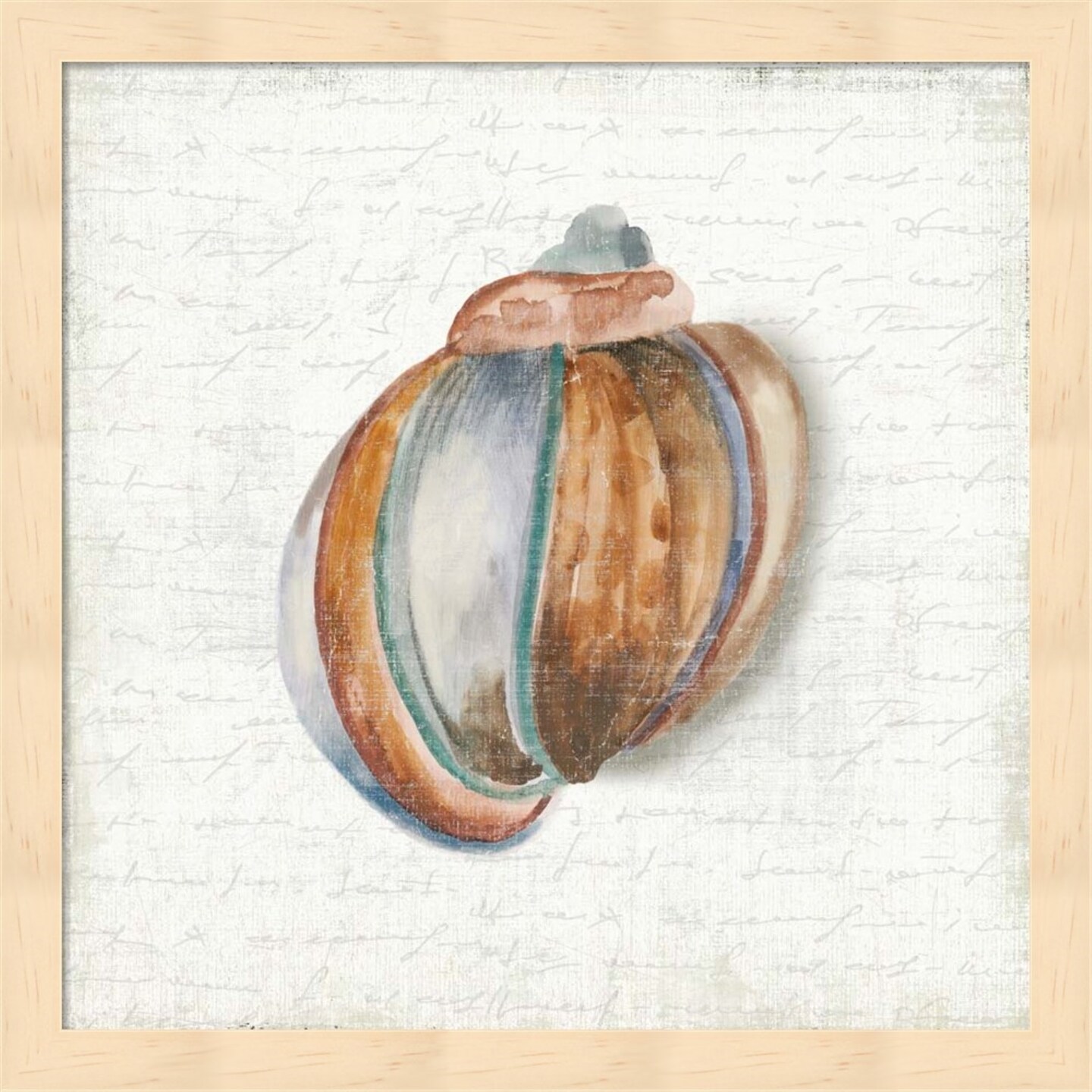 Seashell Portrait II by Aimee Wilson, Framed Wall Art, 13.25W x 13.25H ...