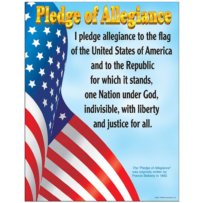 Pledge of Allegiance Learning Chart, 17" x 22" | Early Childhood | Michaels
