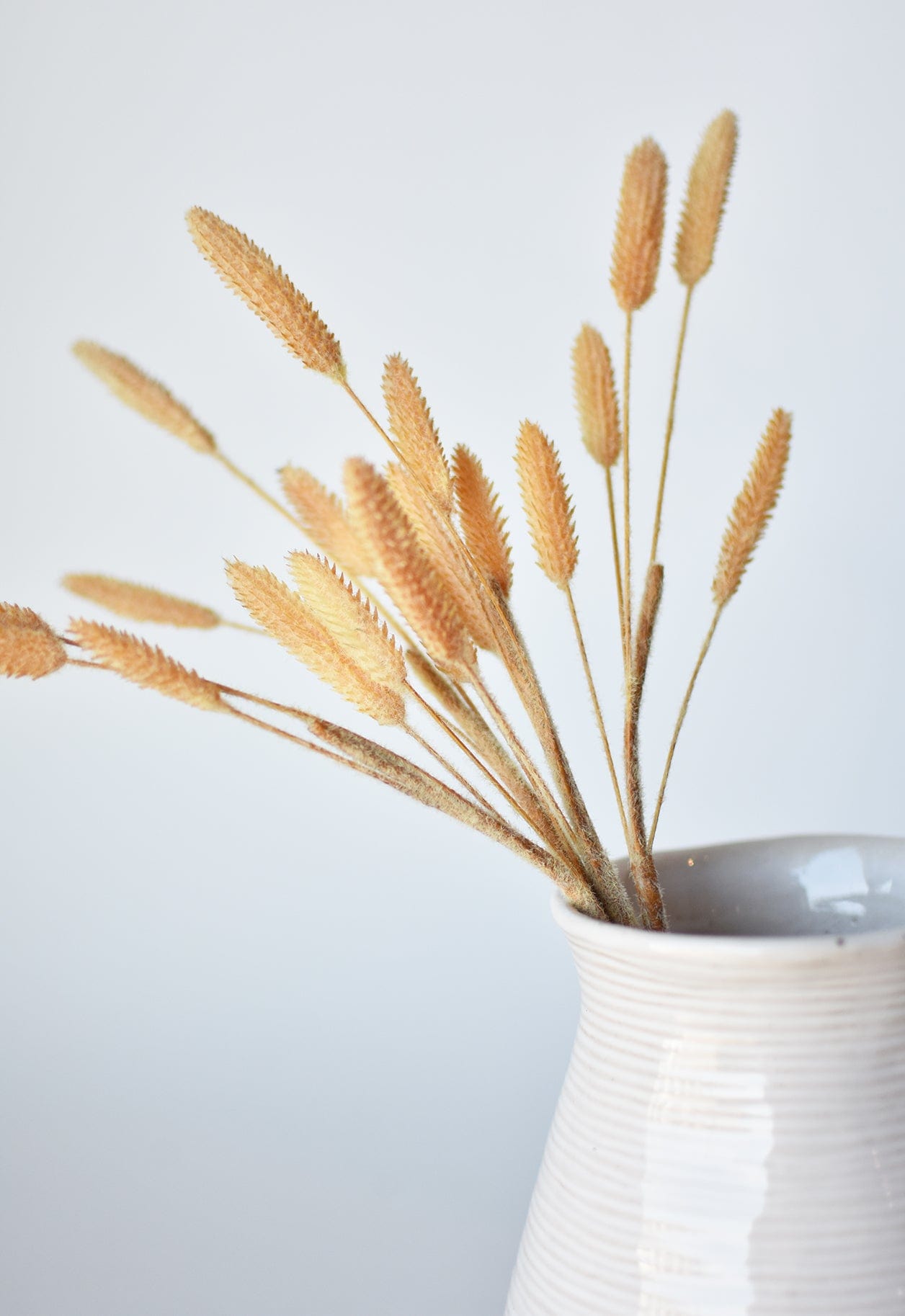12.5" Faux Beige Reed Bundle | Floral Stems | Michaels