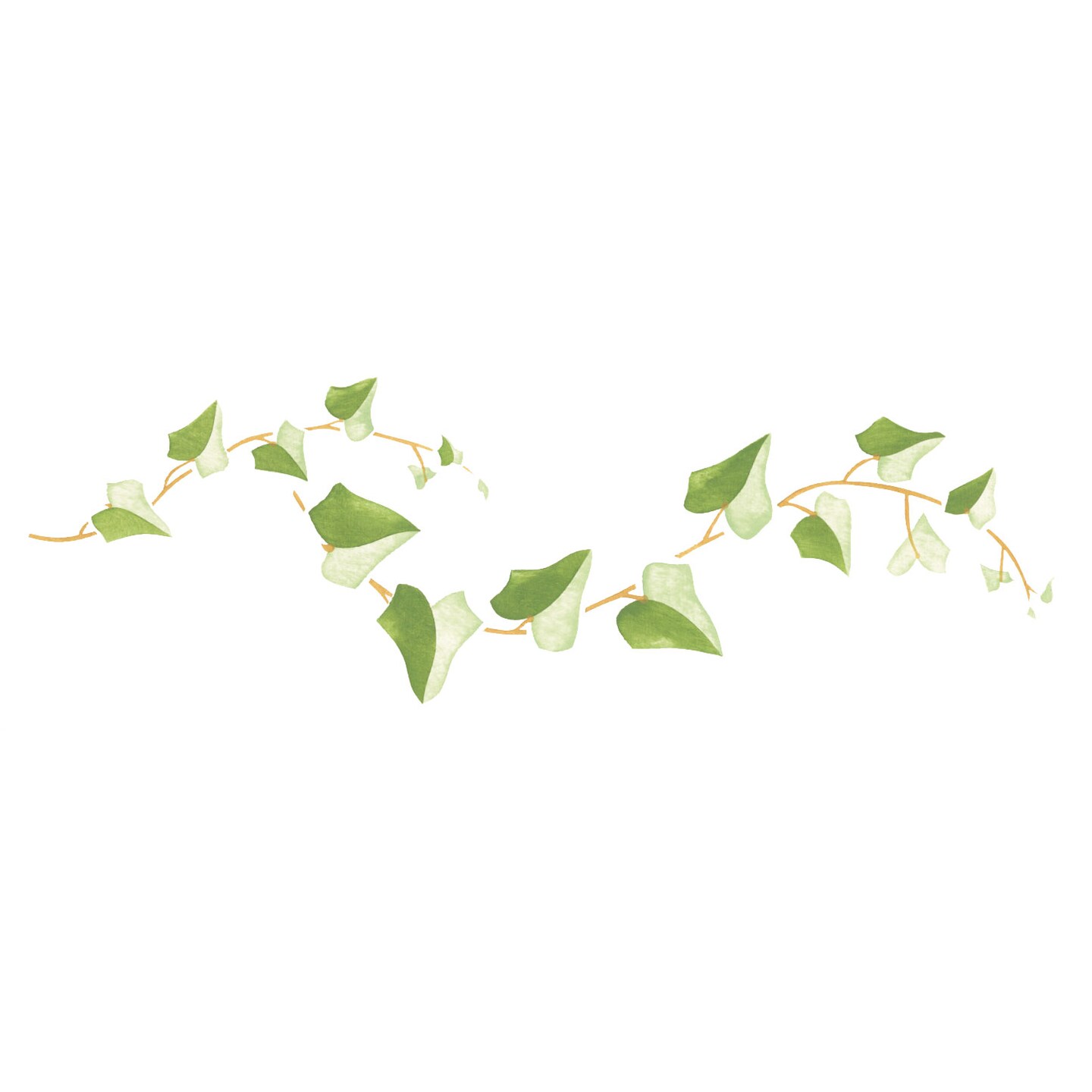 4.5-Inch Ivy Wall Stencil Border | 101 by Designer Stencils | Floral ...