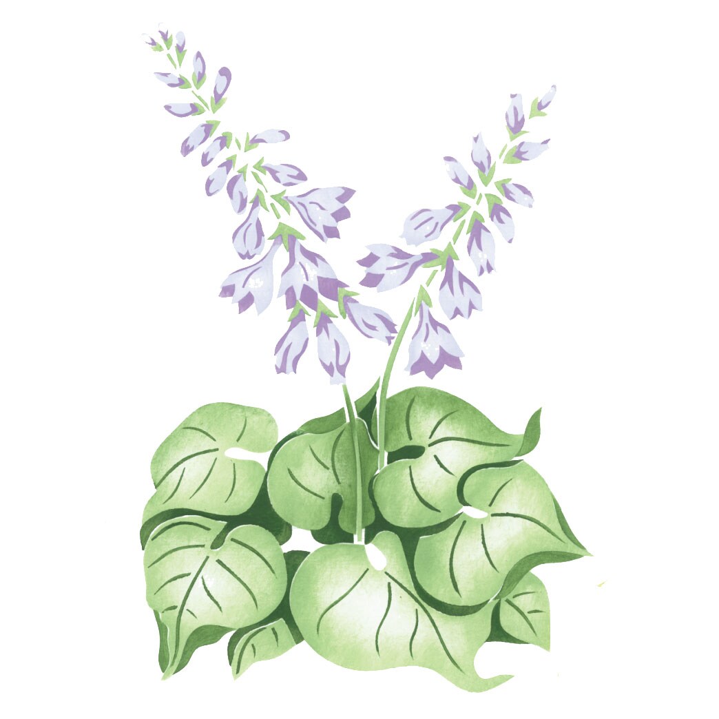 Hosta Wall Stencil | 1945 by Designer Stencils | Floral Stencils ...
