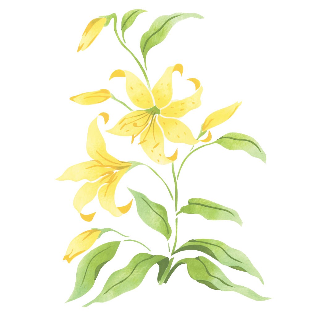 Rubrum Lily Wall Stencil | 1946 by Designer Stencils | Floral Stencils ...