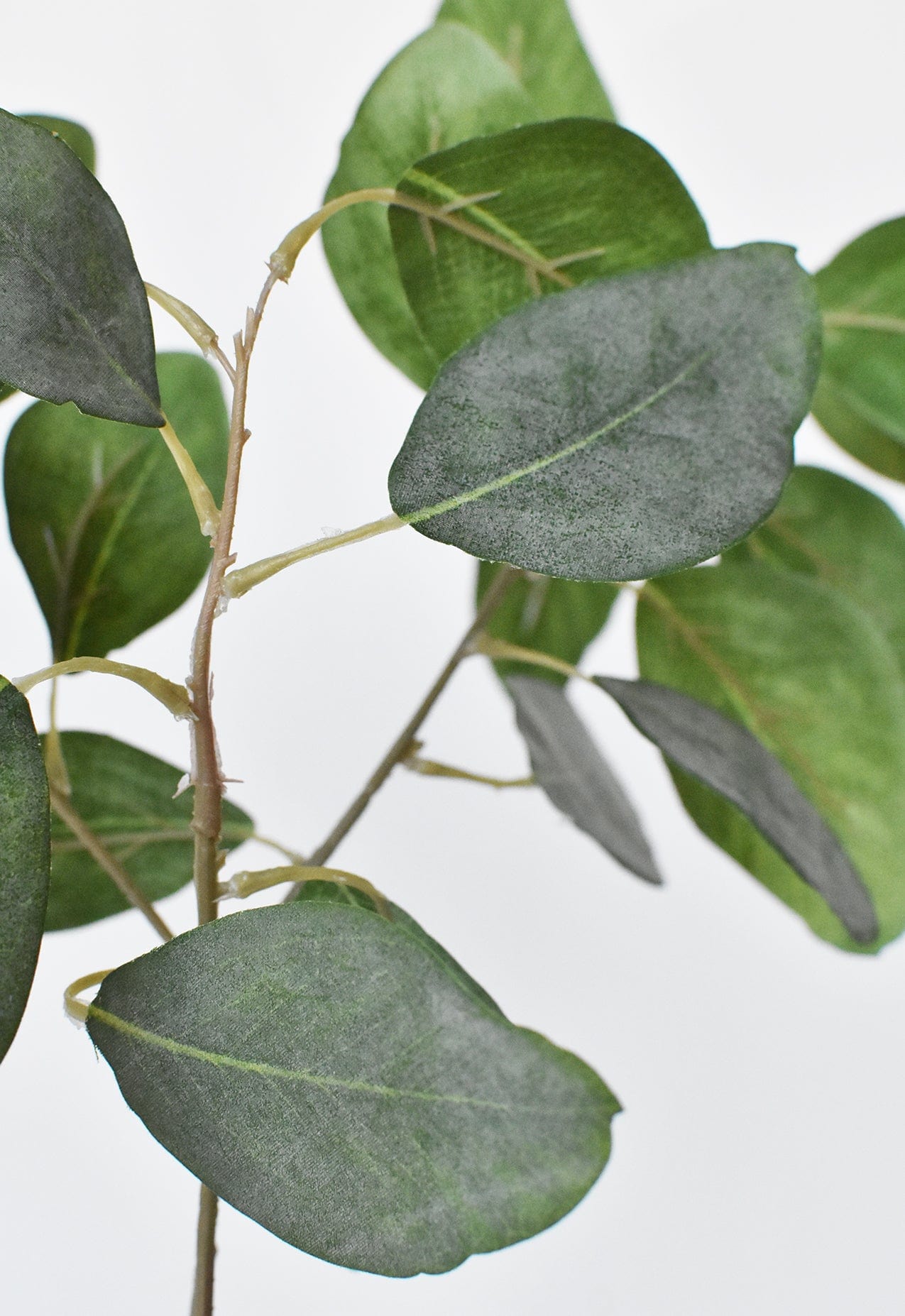 24" Faux Eucalyptus Leaf Stem | Floral Stems | Michaels