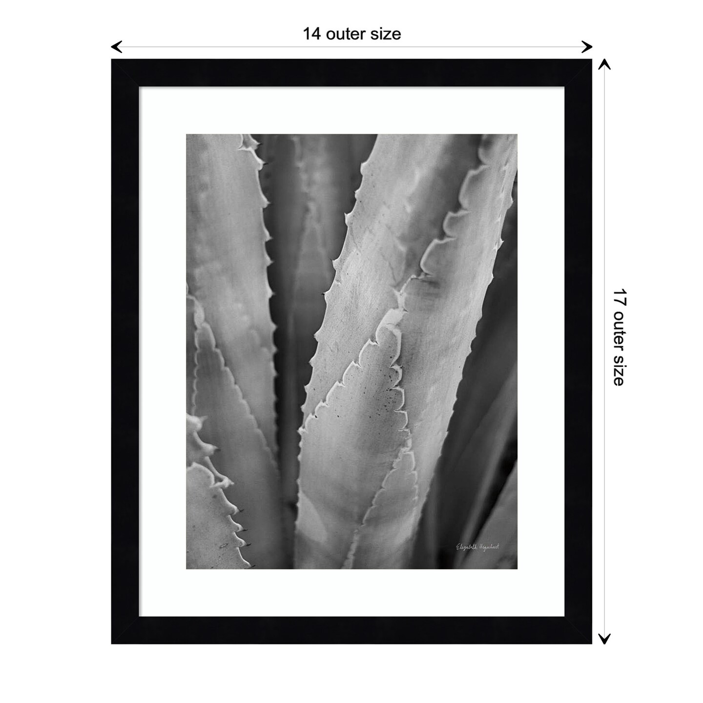 Abstract Agave I by Elizabeth Urquhart Wood Framed Wall Art Print ...