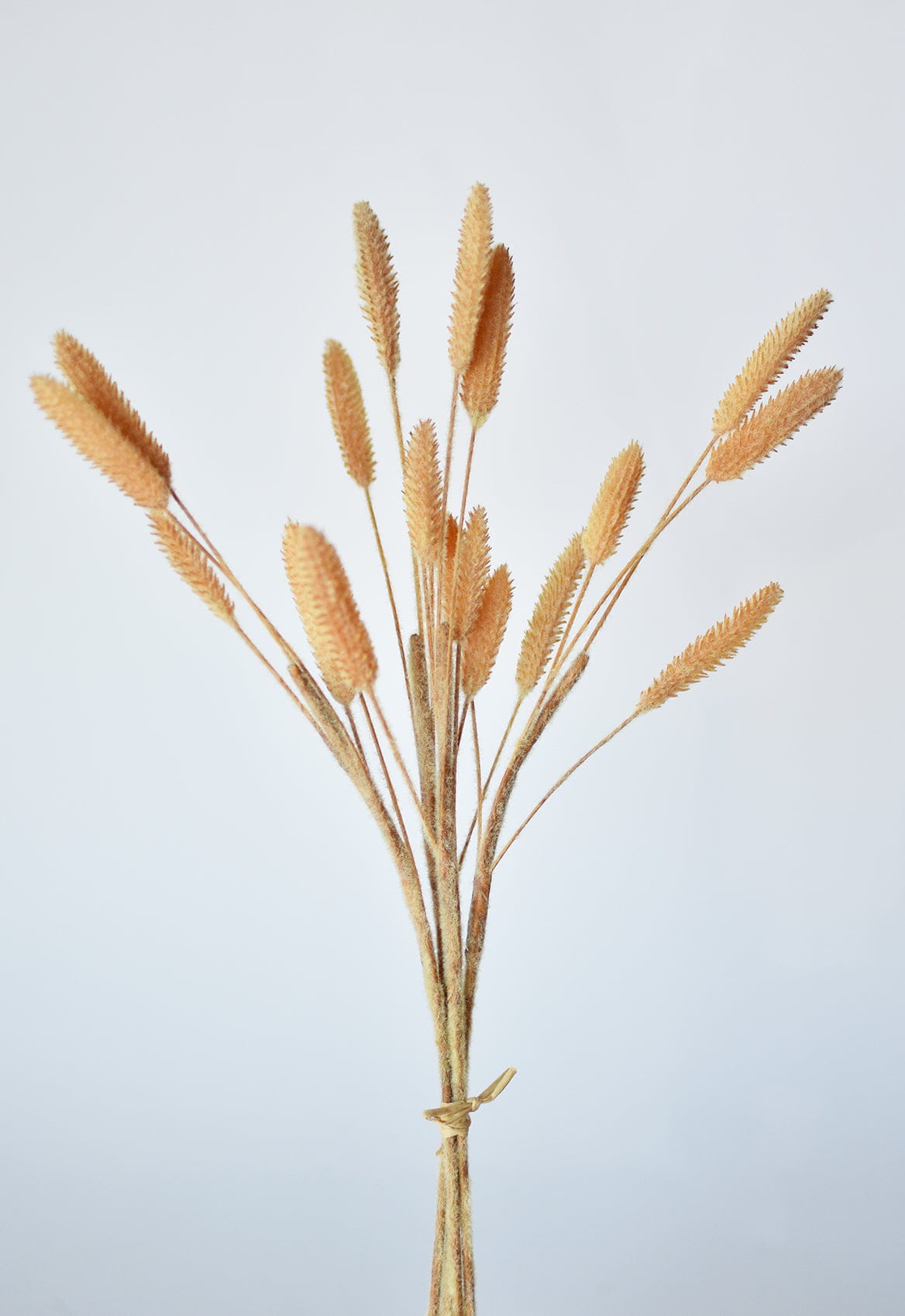 12.5" Faux Beige Reed Bundle | Floral Stems | Michaels