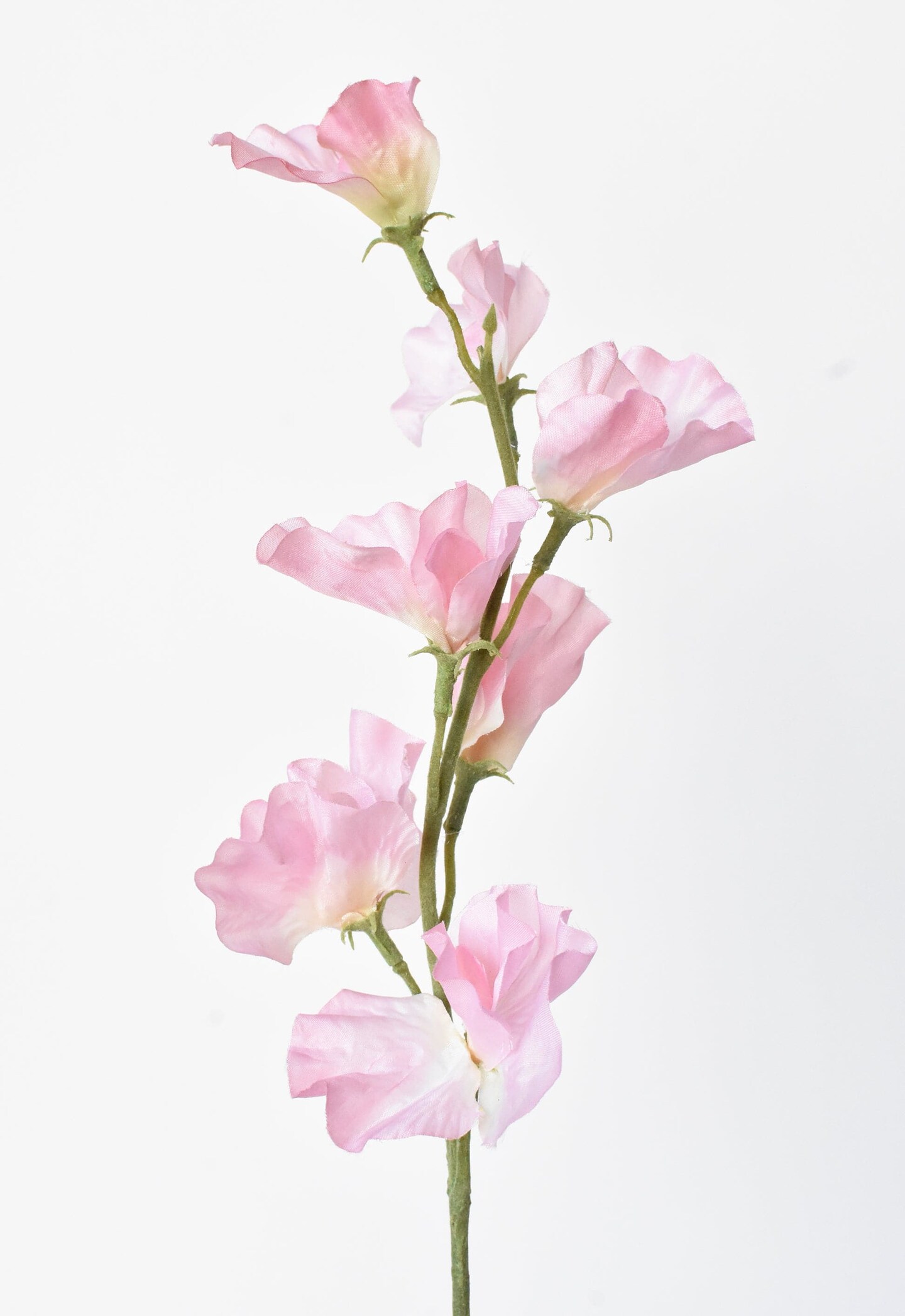 22" Faux Light Pink Sweet Pea Stem | Floral Stems | Michaels