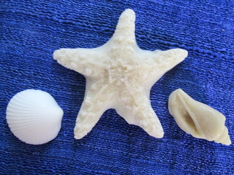 10 Starfish soap favors, shell favors,bridal shower favors, 10 beachy ...