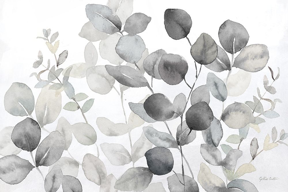 Eucalyptus Leaves landscape neutral Poster Print by Cynthia Coulter ...
