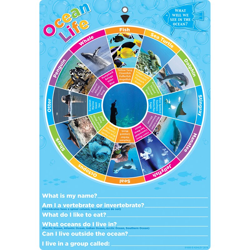 Smart Poly® Smart Wheel®, Ocean Animals | Michaels