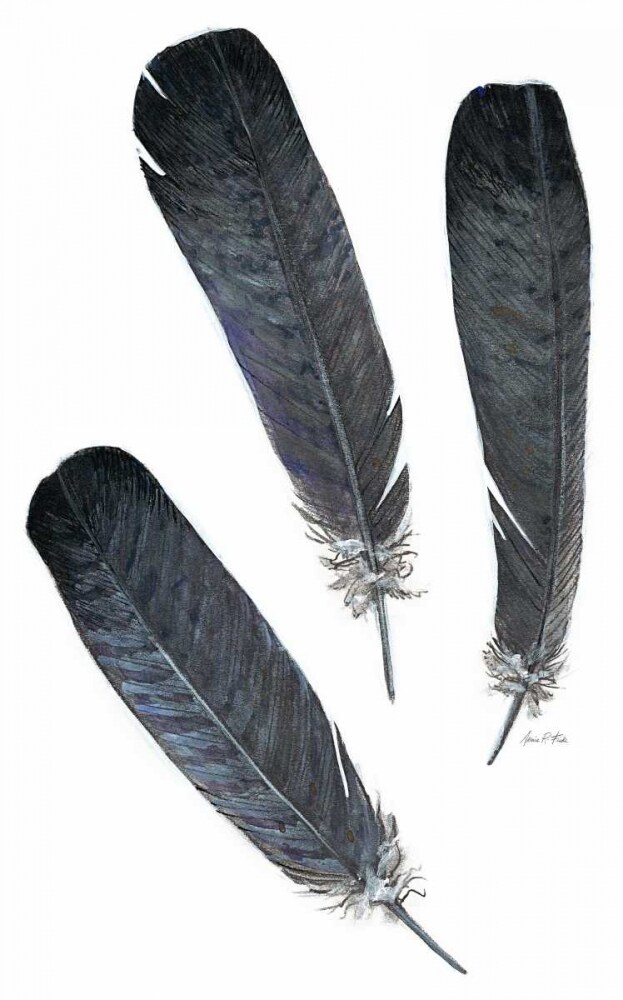 Feather Study 2 Poster Print by Arnie Fisk - Item # VARPDX011FIS1385 | Michaels