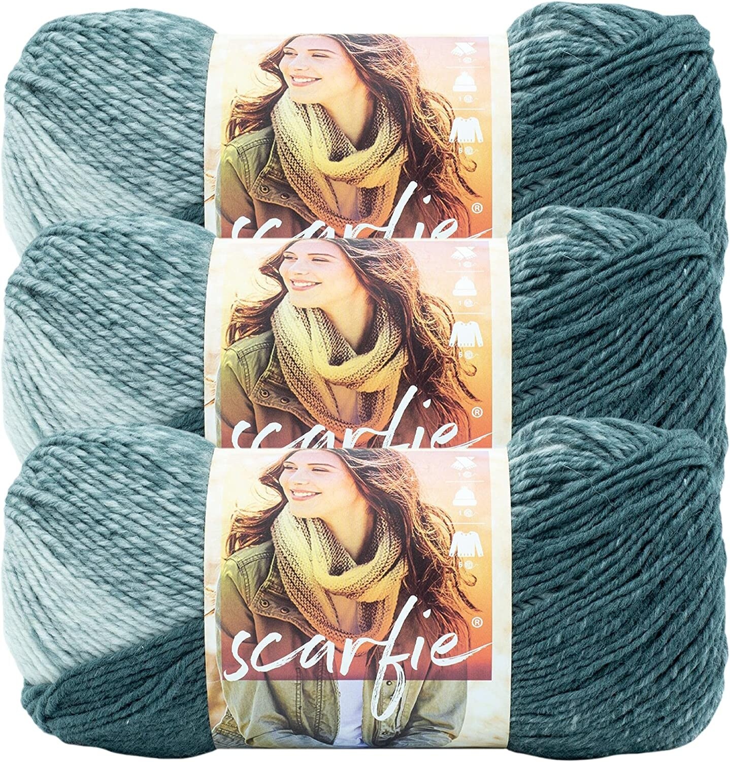 (Pack of 3) Lion Brand Scarfie Yarn-Pale Grey/Bluestone, Count: 1 ...