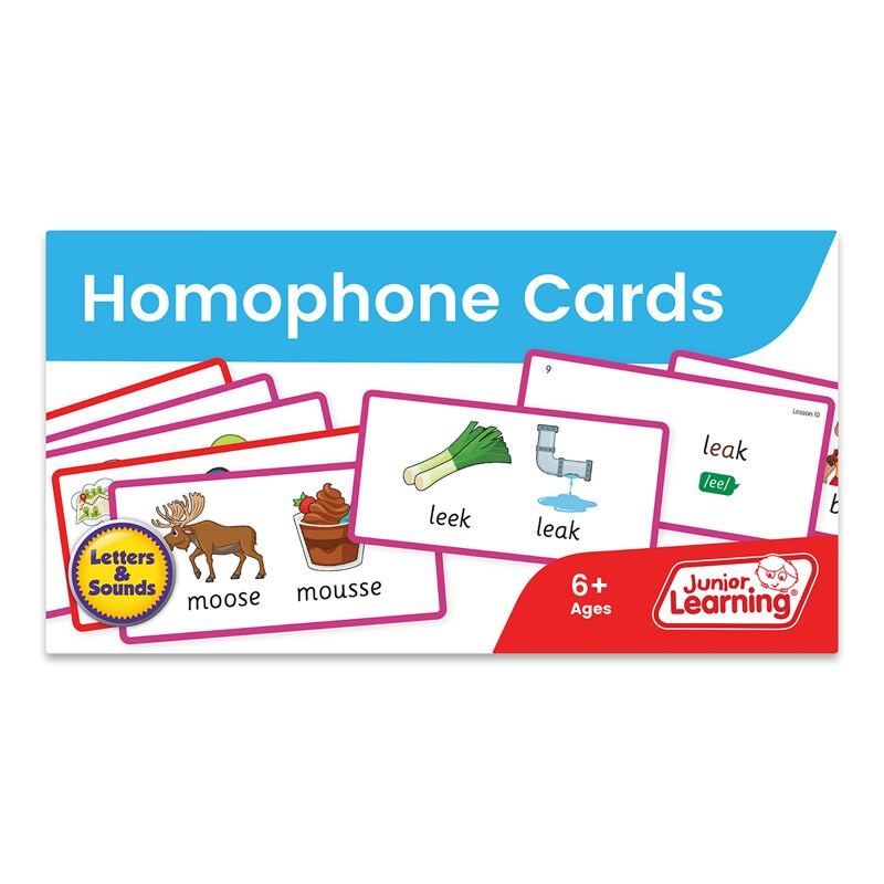 Homophone Cards | Michaels
