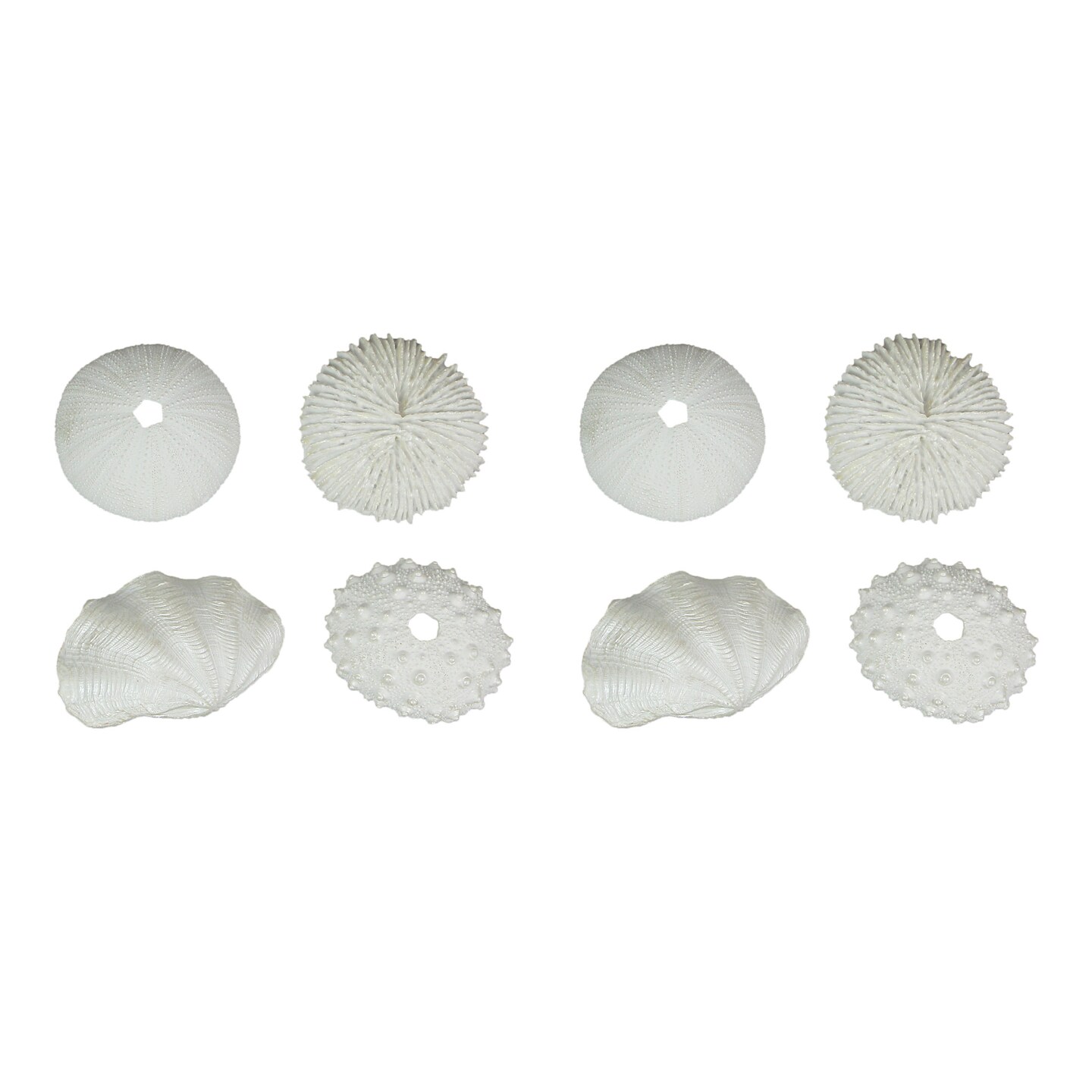 Set of 8 White Resin Clam and Sea Urchin Shell Decorative Accent ...