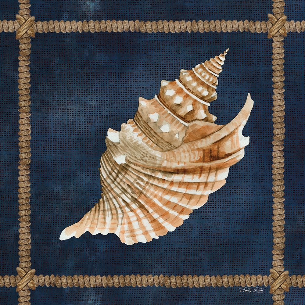 Seashell on Navy V Poster Print by Cindy Jacobs # CIN2375 | Michaels