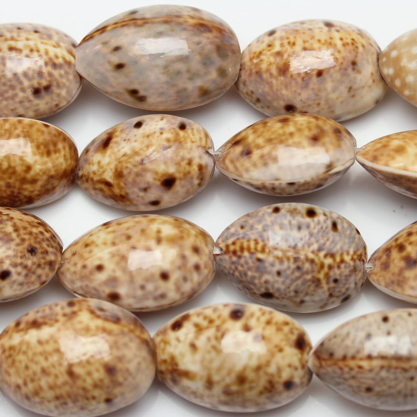 Philippine Natural Shell Beads | Michaels