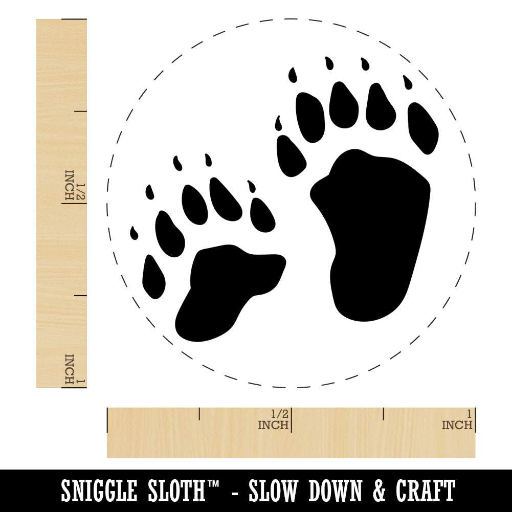 Grizzly Bear Tracks Paw Prints