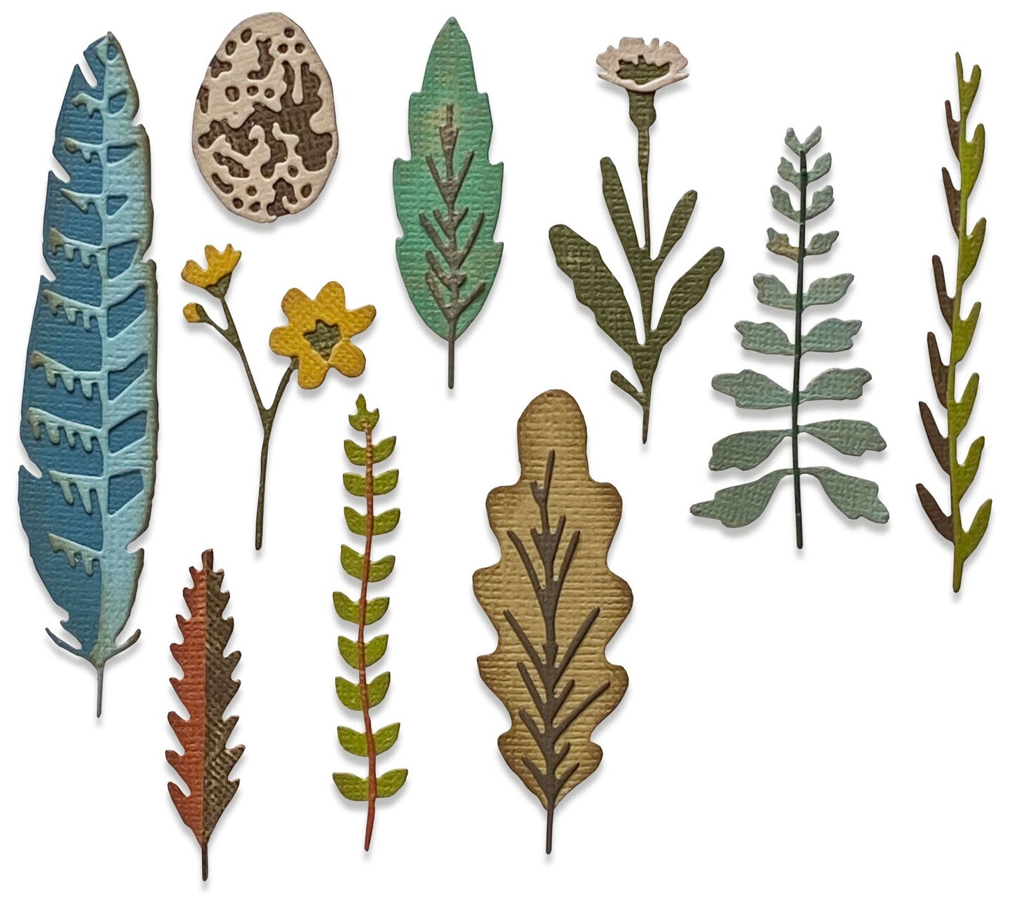Sizzix Thinlits Dies By Tim Holtz 10pkg Funky Nature Michaels 9077