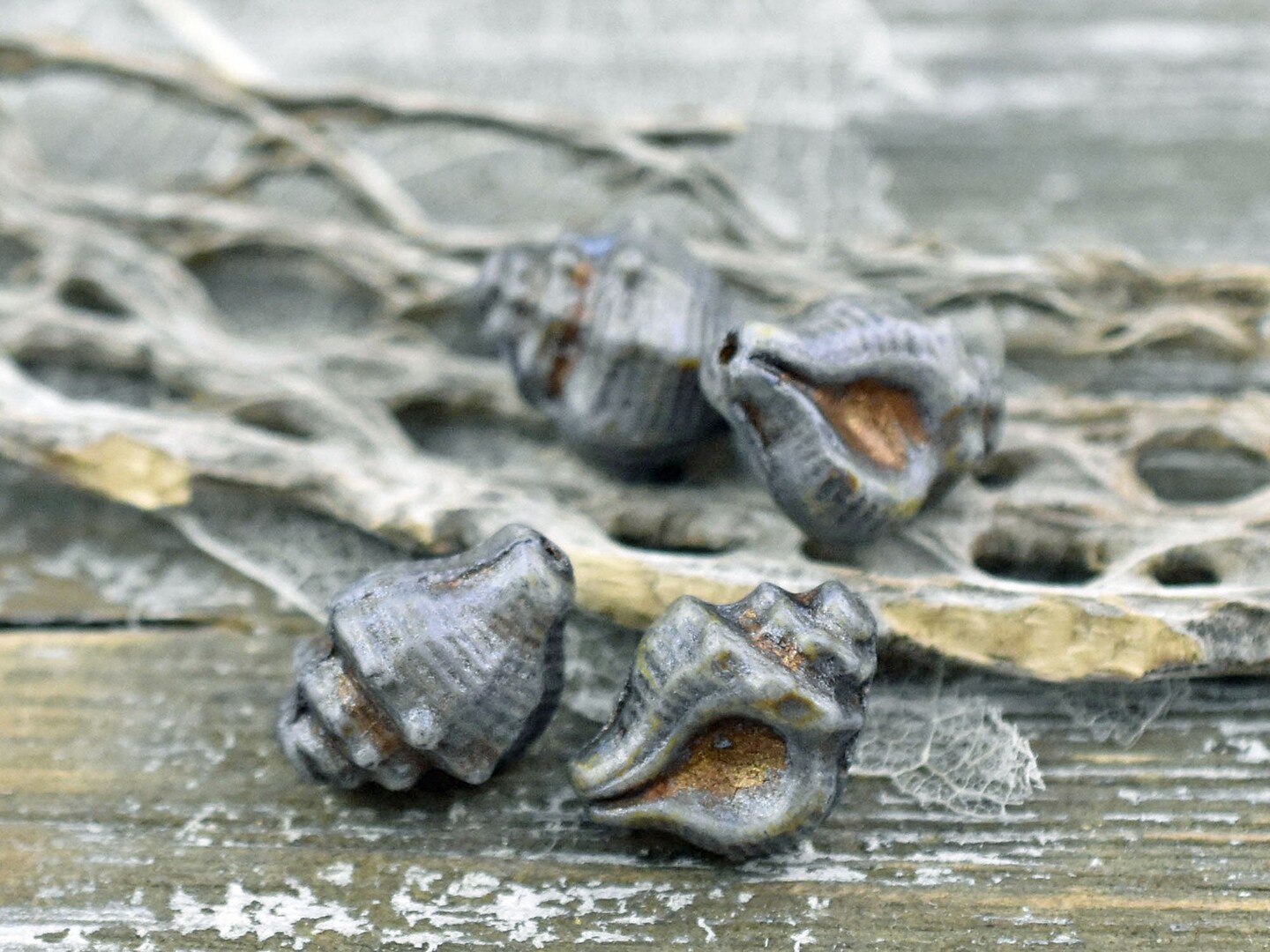 *8* 14x11mm Bronze Washed Blue Lazure Conch Shell Beads | Michaels