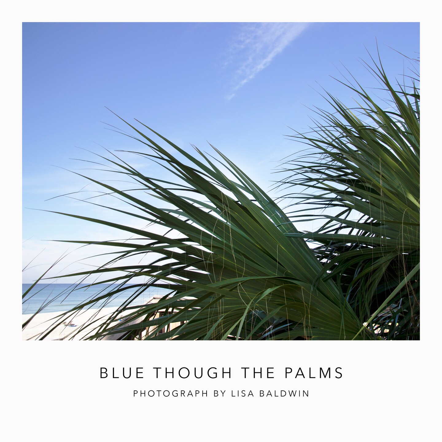 Blue Sky and the Blue Ocean Though Green Palm Fronds - Palms by the Sea ...