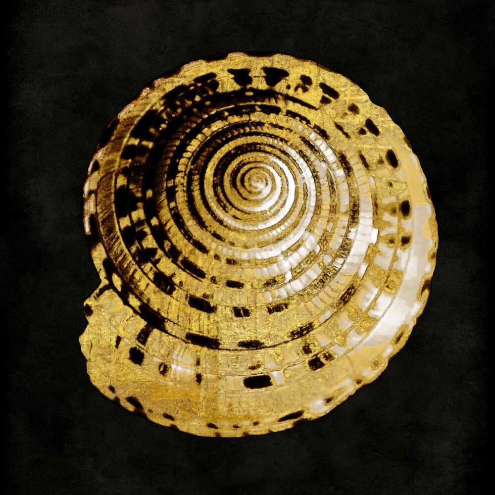 Golden Ocean Gems IV Poster Print by Caroline Kelly # CKL112239DG ...