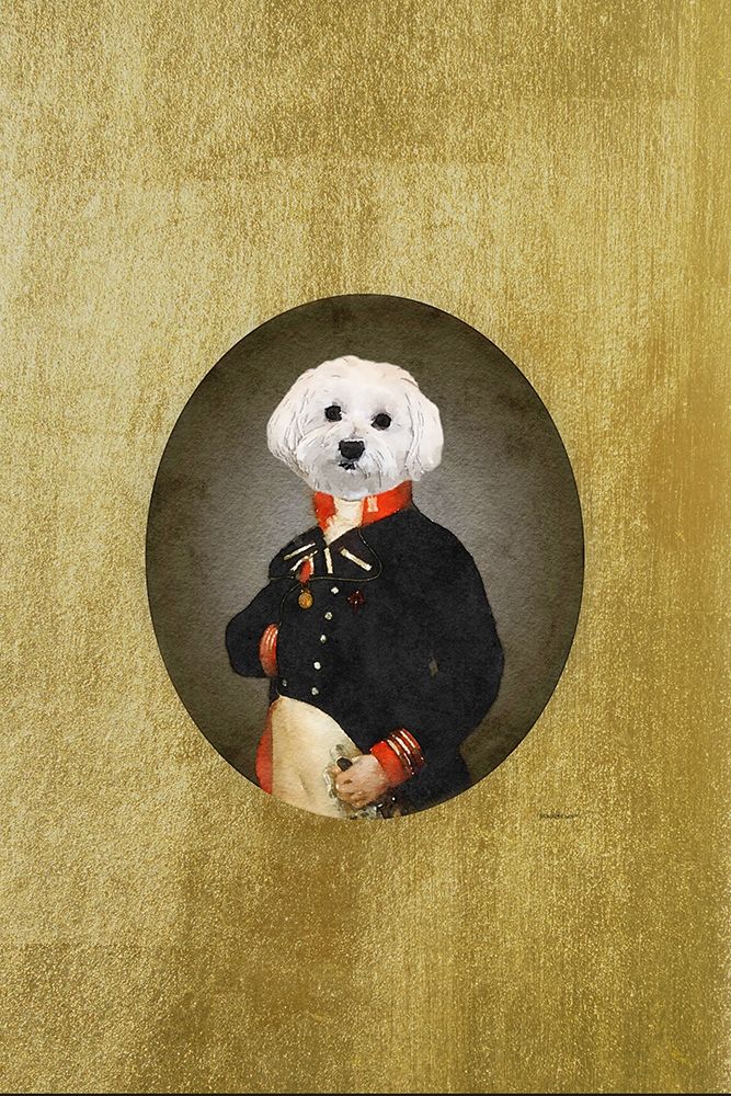 All Dressed up Bichon Frison Poster Print by Amanda Greenwood Amanda ...