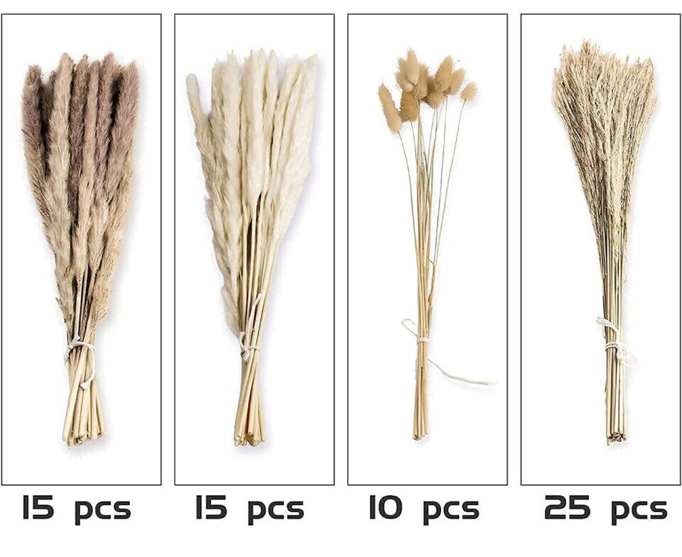 Natural Dried Reed Flowers | Michaels