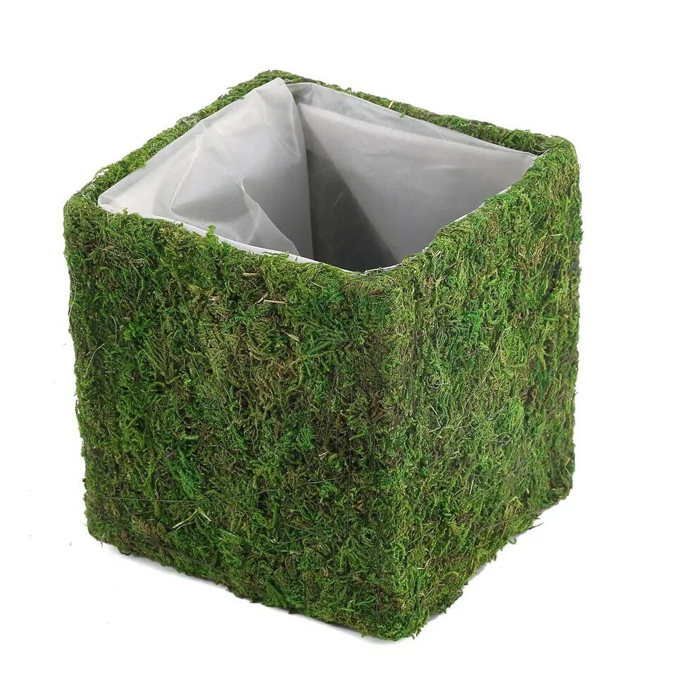 4 GREEN 6x6" Natural Moss Square Planter Boxes Wedding Party | Michaels
