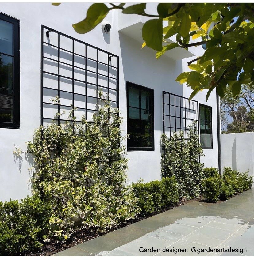 Jumbo Classic Metal Garden Trellis, Multiple Sizes and Colors Available ...