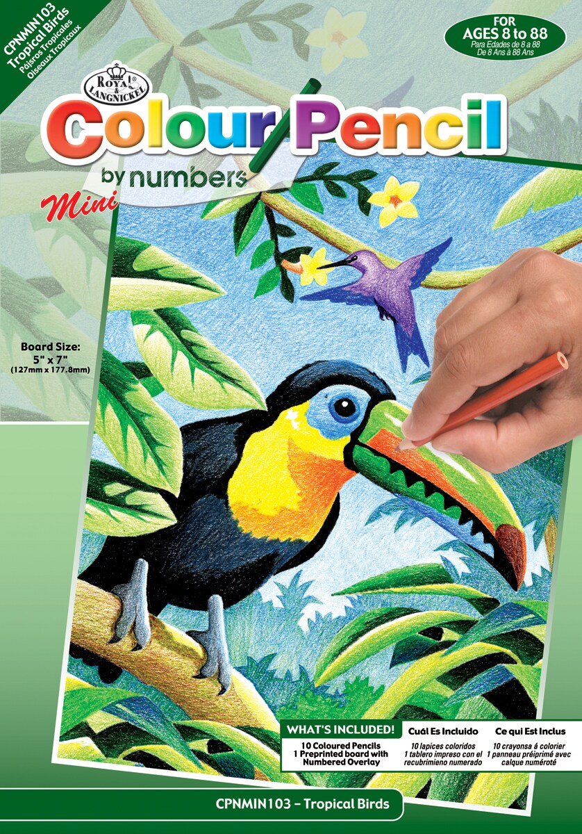 Royal & Langnickel(R) Mini Color Pencil By Number Kit 5"X7" | Michaels