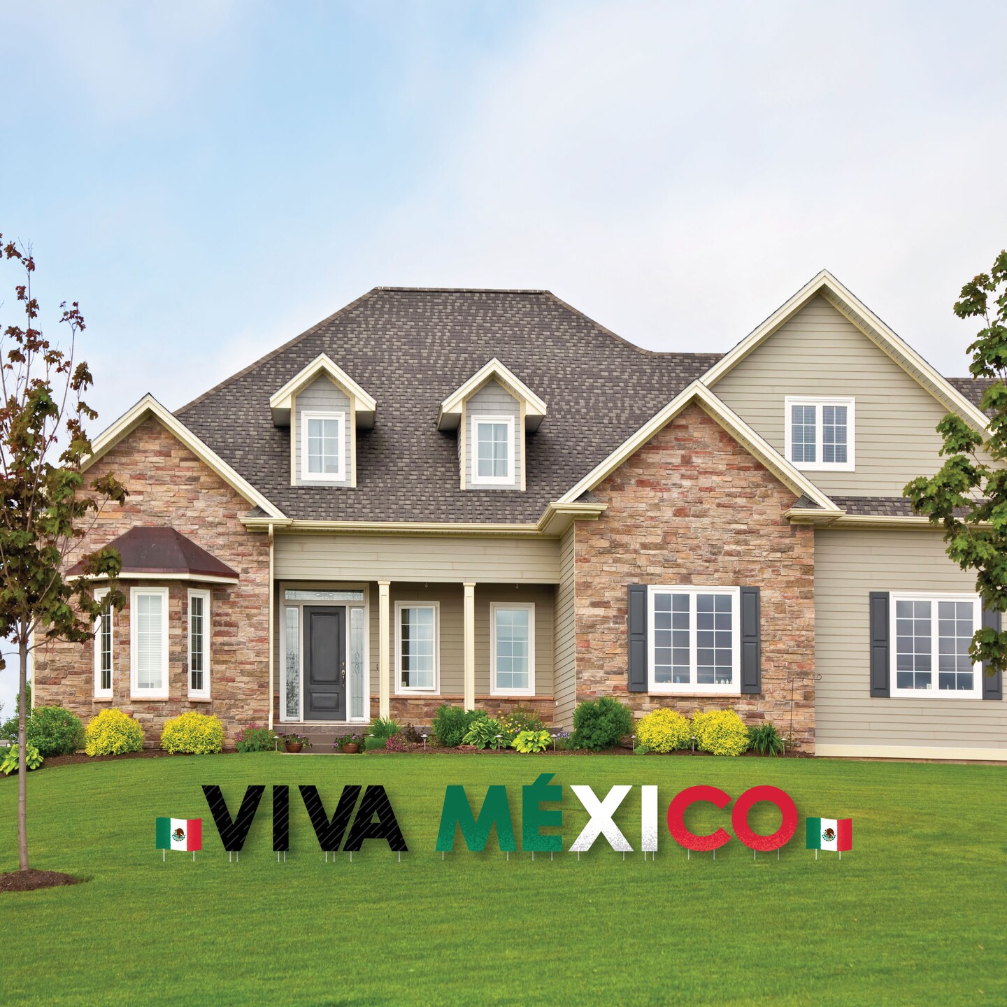 Big Dot of Happiness Viva Mexico - Yard Sign Outdoor Lawn Decorations ...