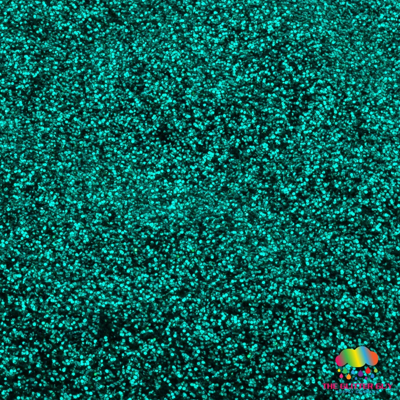 The Glitter Guy 100ml Glitter Shaker | Michaels