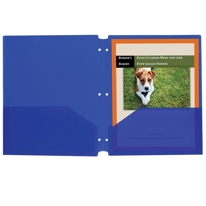 Two-Pocket Poly Portfolios with Three-Hole Punch, Blue, Box of 25 ...