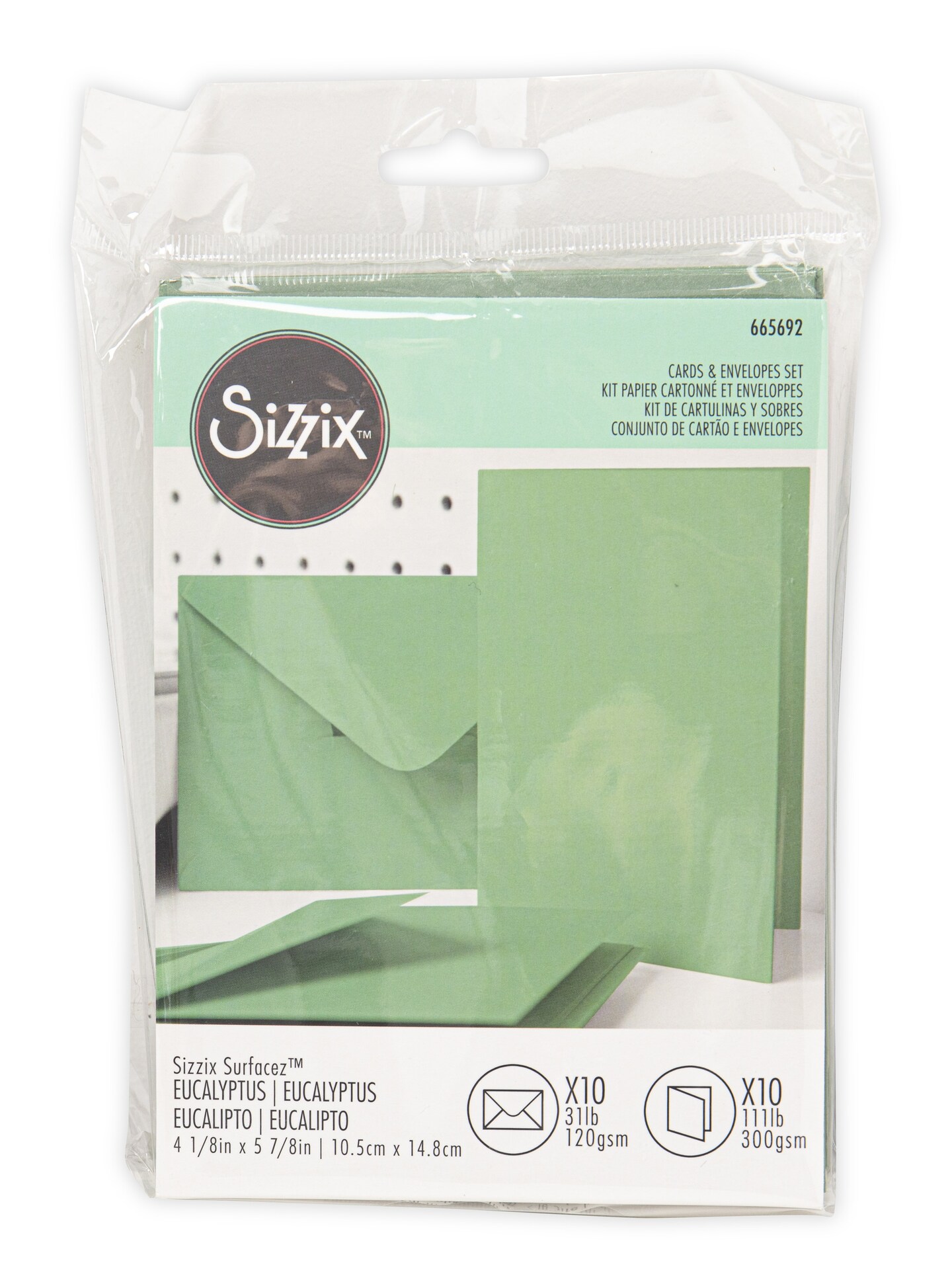 Sizzix Surfacez Card & Envelope Pack A6 10/Pkg-Sage | Michaels