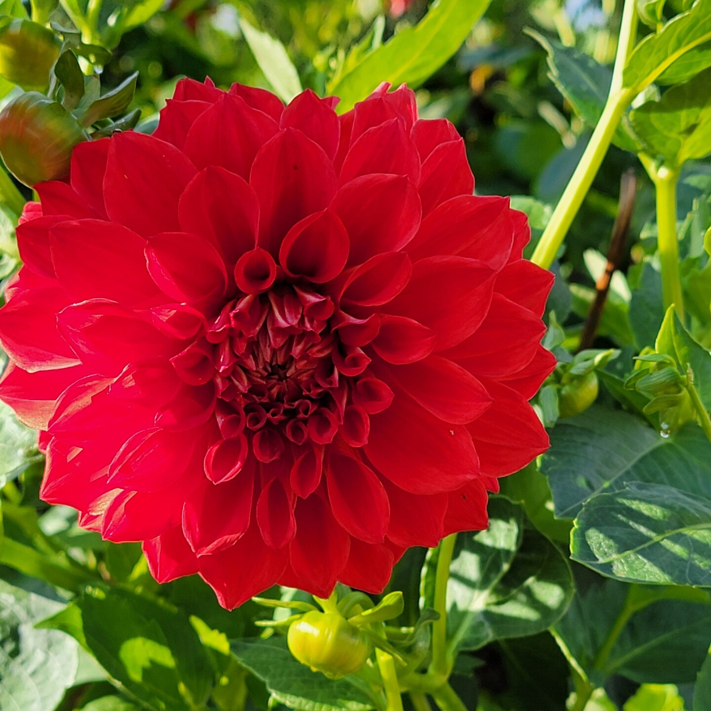 Skye Designs | Storefront | Michaels