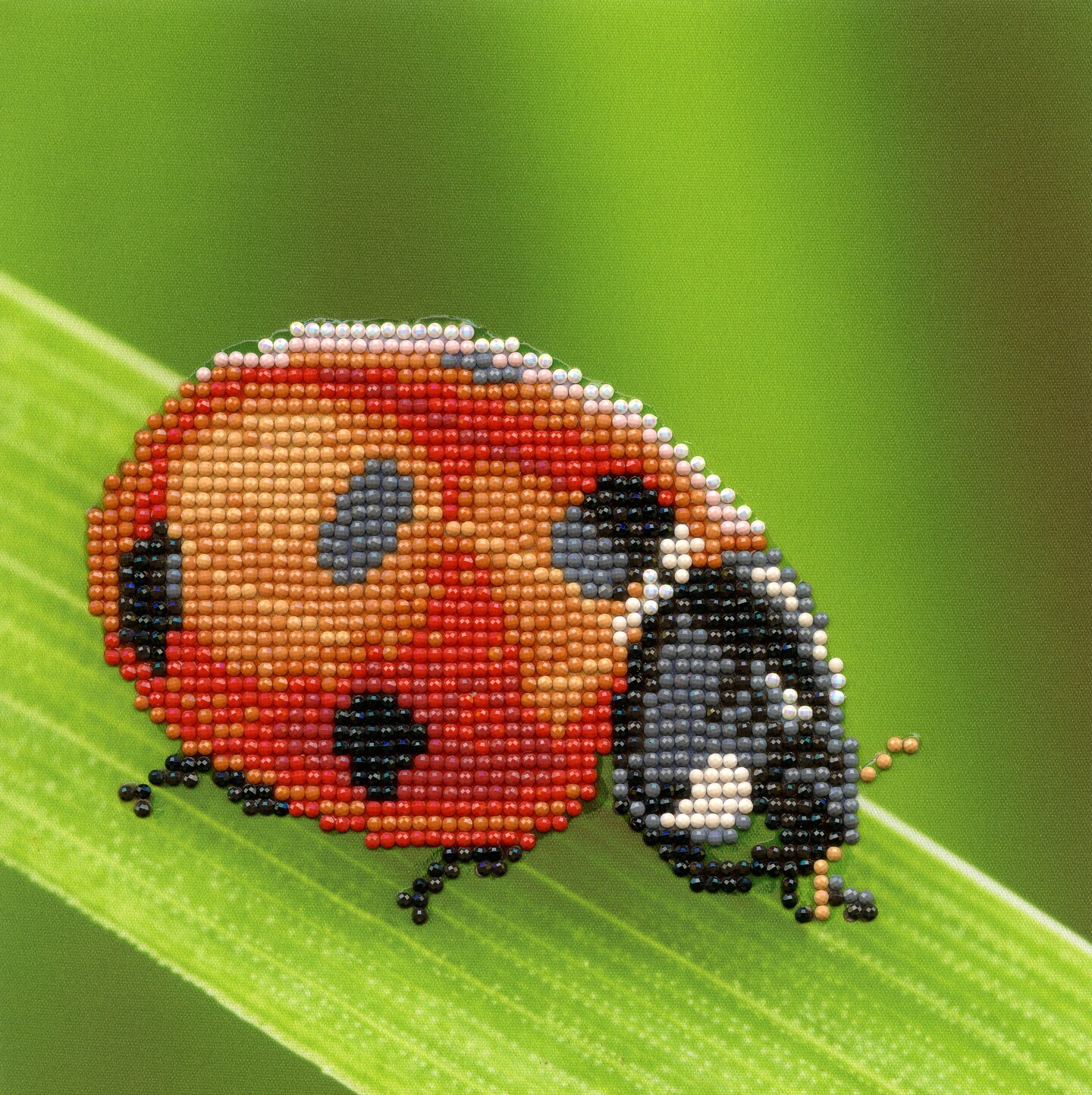 DIAMOND ART BY LEISURE ARTS Ladybug, 8"x8", Beginner Diamond Painting ...