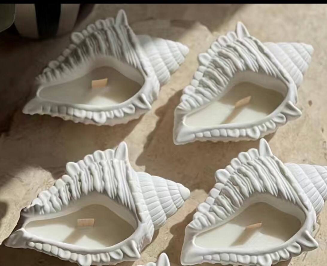 Large sea shell candles- conch | MakerPlace by Michaels