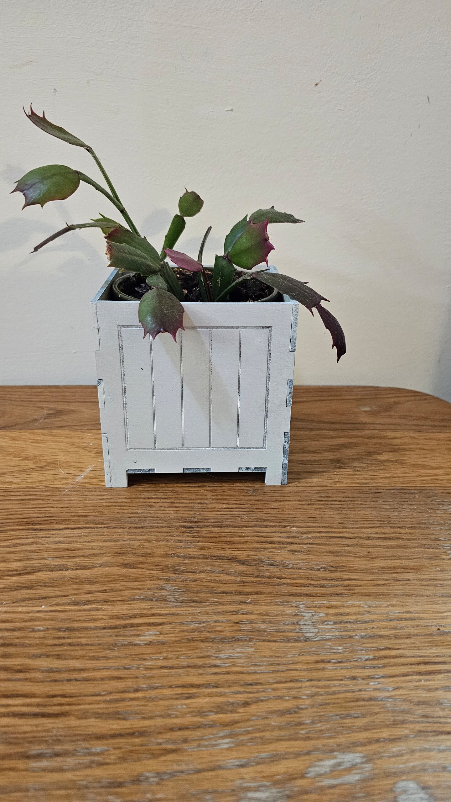 Desktop Planter | MakerPlace by Michaels