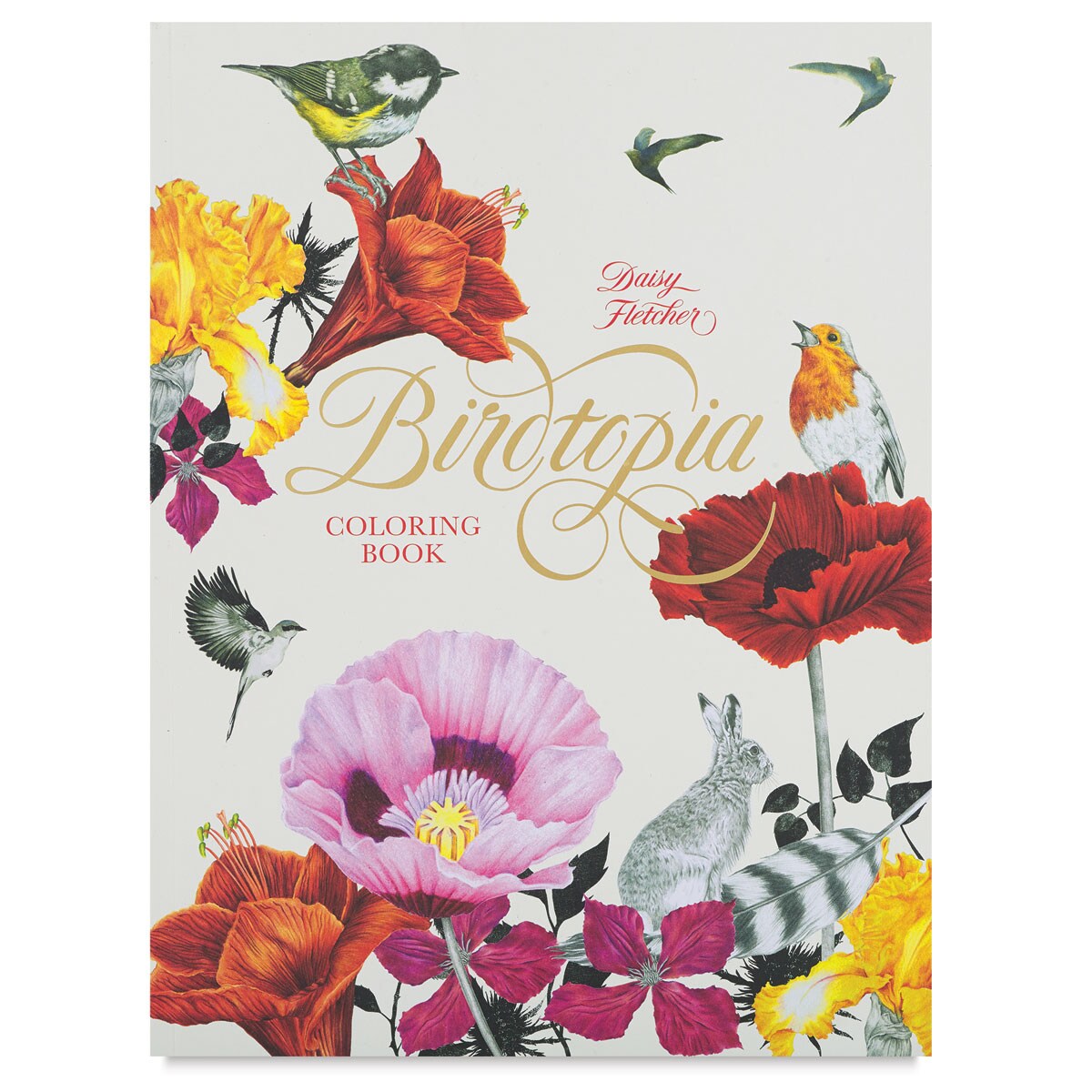 Birdtopia Coloring Book | Michaels