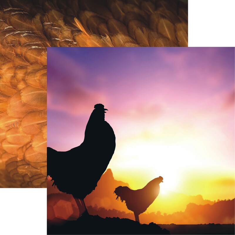 Sunrise on the Farm Paper - Chicken Life - Reminisce | Michaels