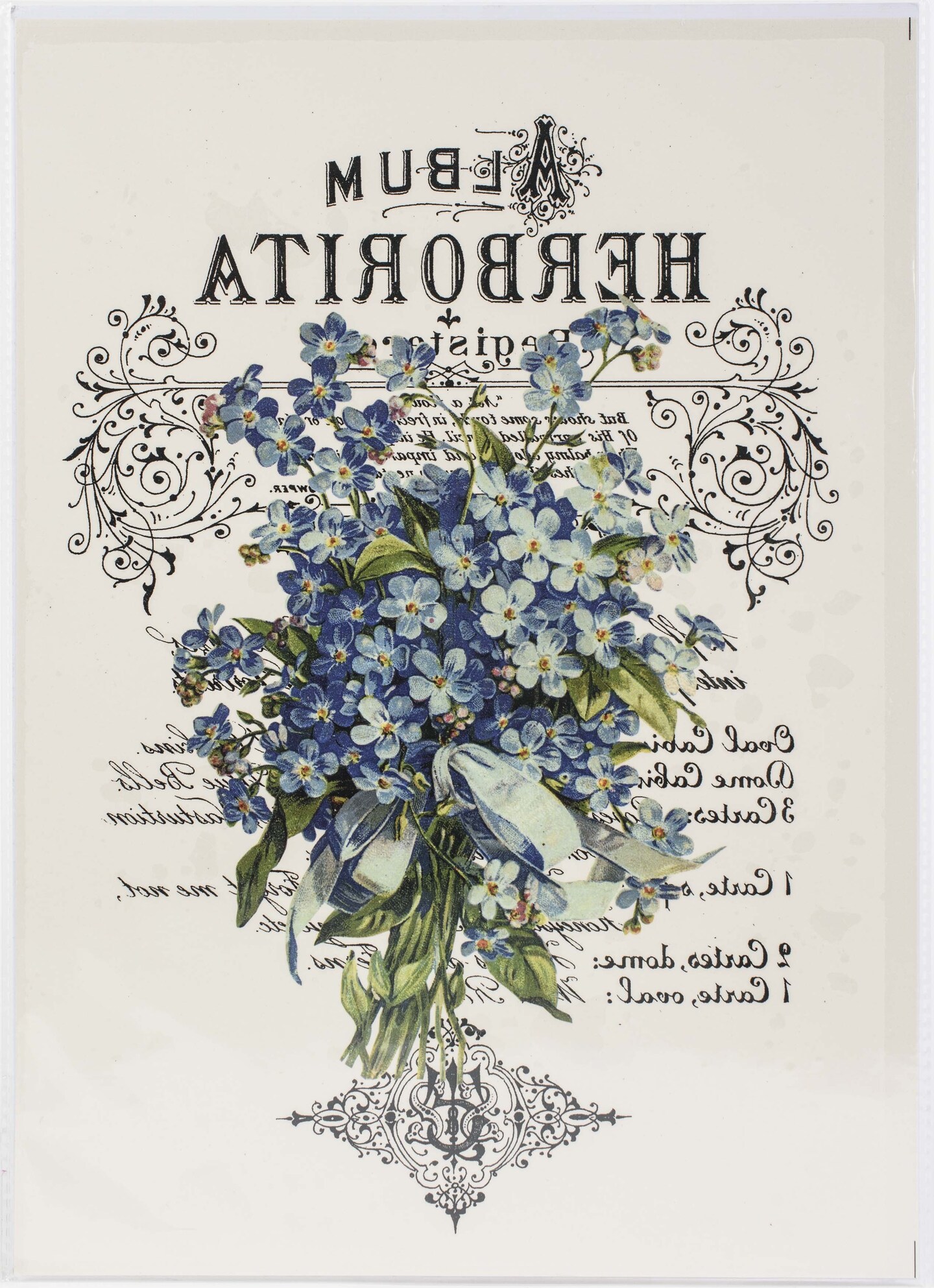 Dress My Craft Transfer Me Sheet A4-Herborita | Michaels