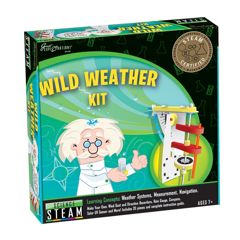 Wild Weather Kit | Michaels