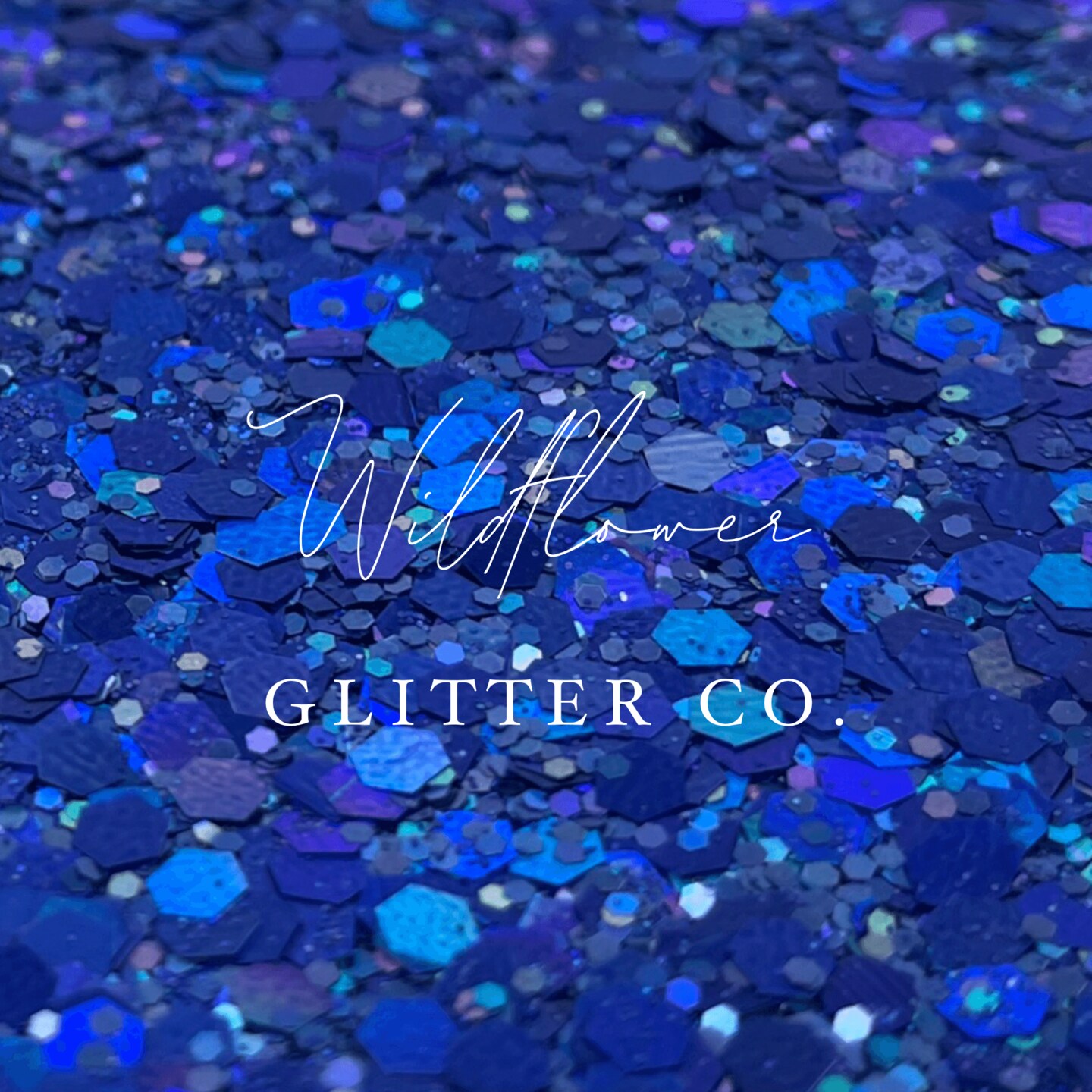 Holographic Chunky Glitter 2oz-Betta, Size: 4oz | Michaels
